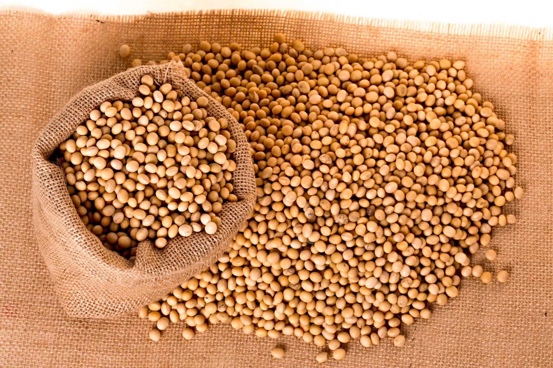 La soja alcanza un máximo de 15 meses tras el informe del USDA y el ...